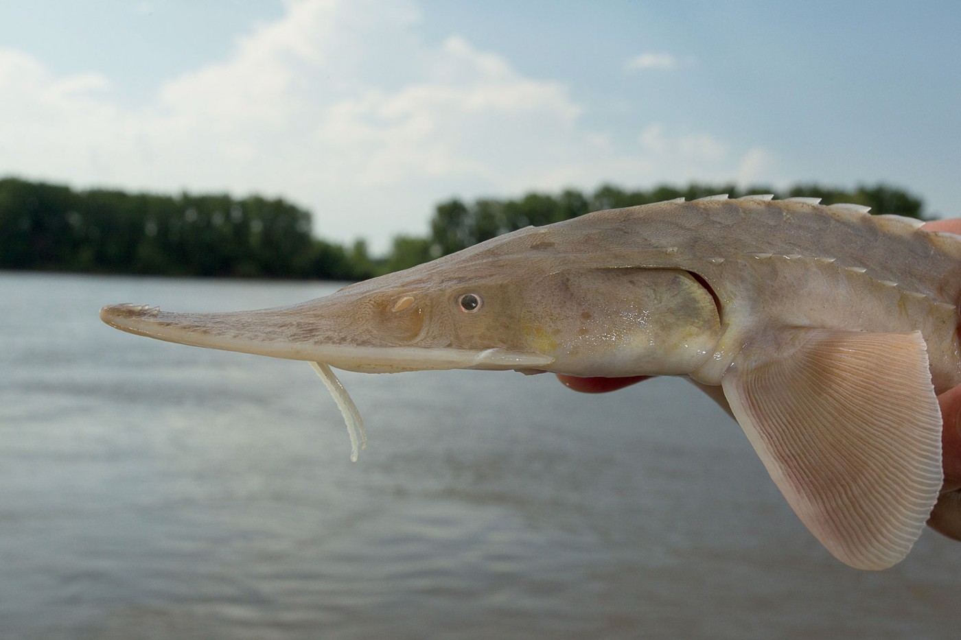 Fishing | Bass Pro Boating Centers Blog