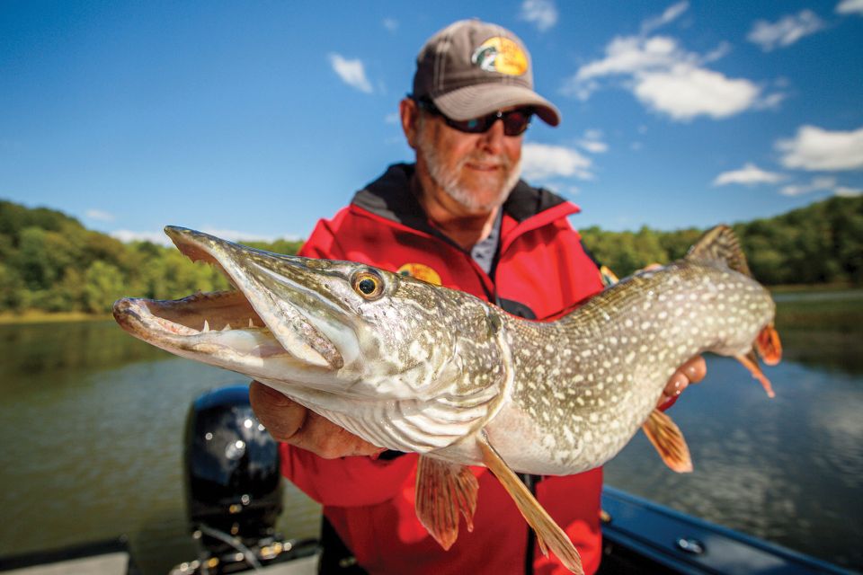 Identify Freshwater Fish - Bass Pro Shops and Cabela's Boating Centers