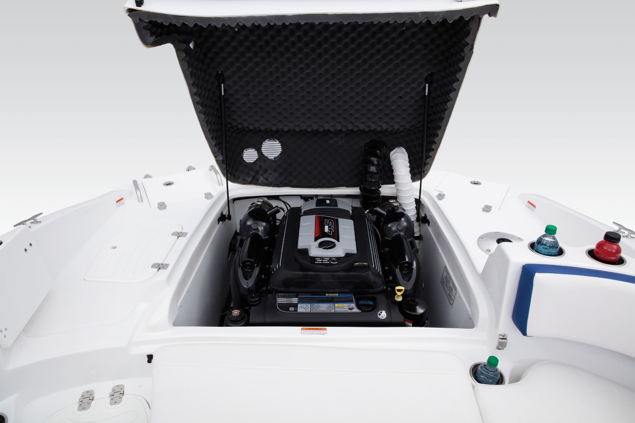 Sterndrives vs Outboards